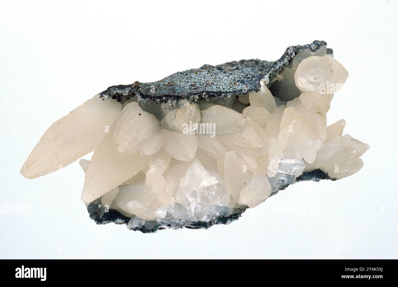 Calcium carbonate crystals hi-res stock photography and images - Alamy