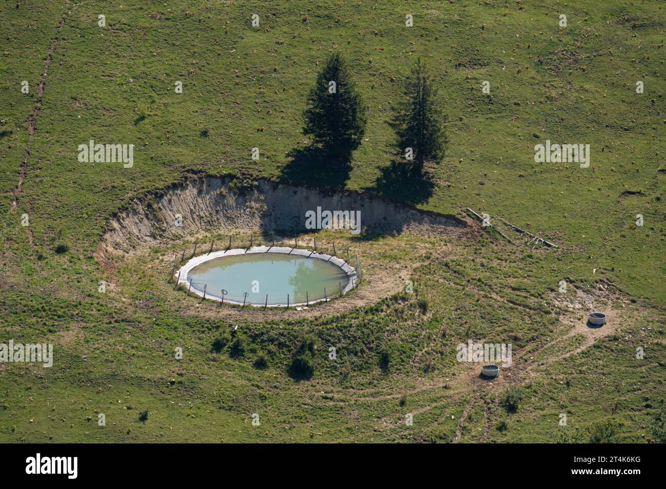 View of a water reserve in a meadow with two fir trees Stock Photo - Alamy