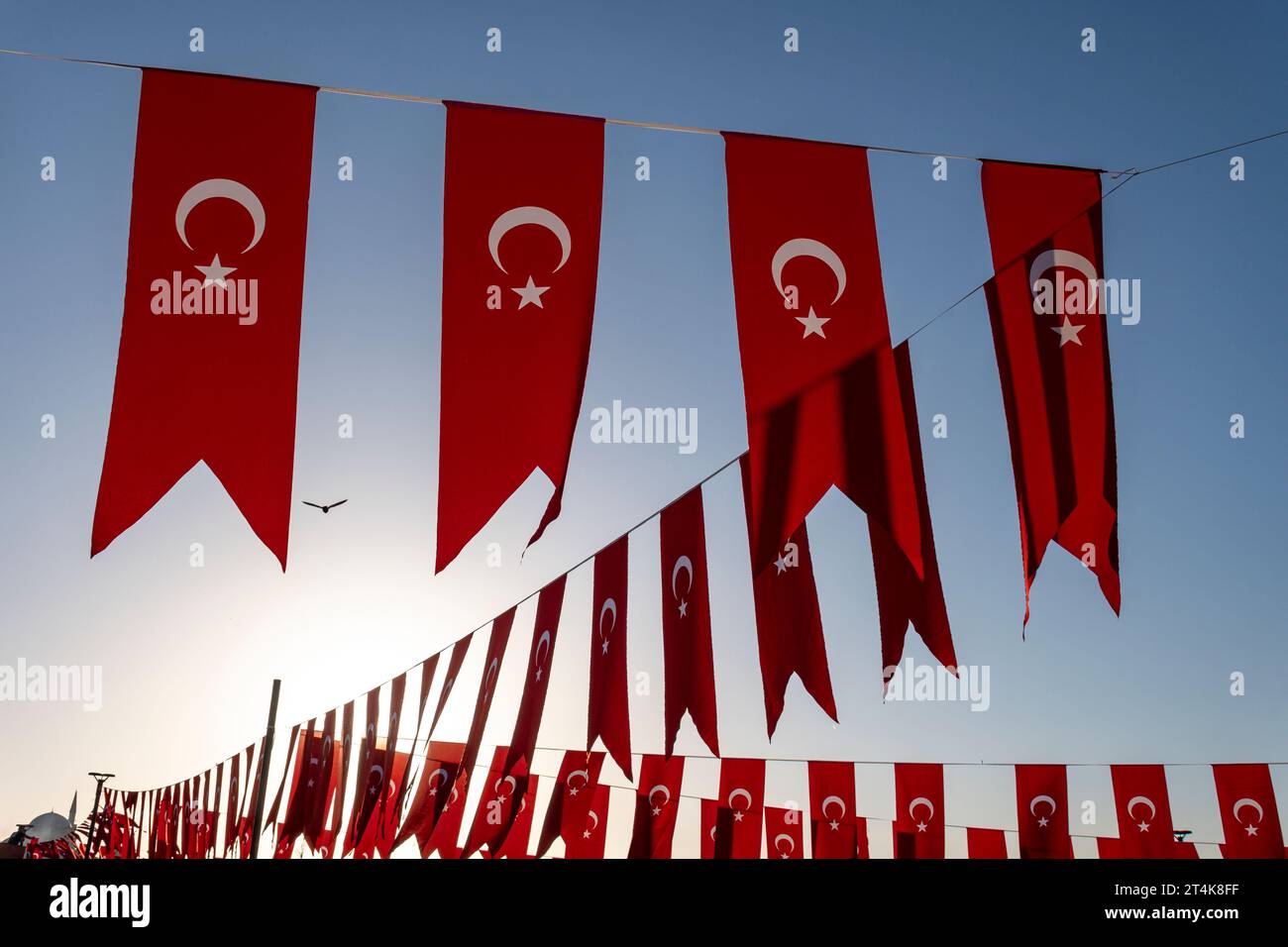 Turkish Flags (Flags of The Republic of Turkey Stock Photo - Alamy