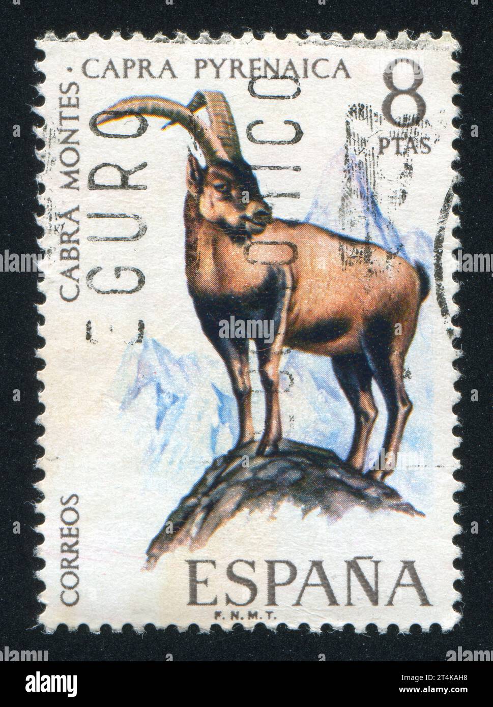 SPAIN - CIRCA 1976: stamp printed by Spain, shows Pyrenean goat, circa ...