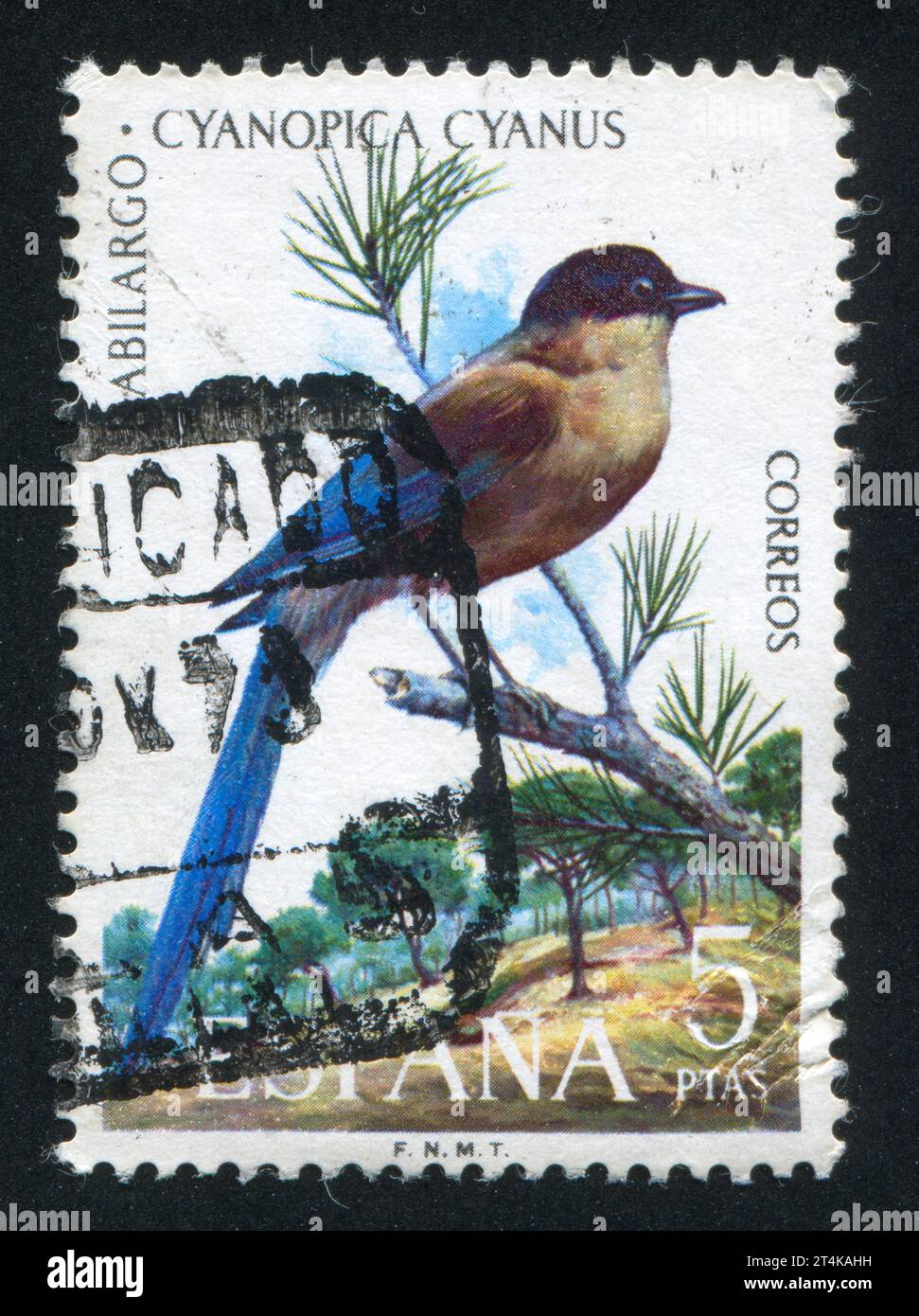 SPAIN - CIRCA 1973: stamp printed by Spain, shows Azure-winged Magpie ...