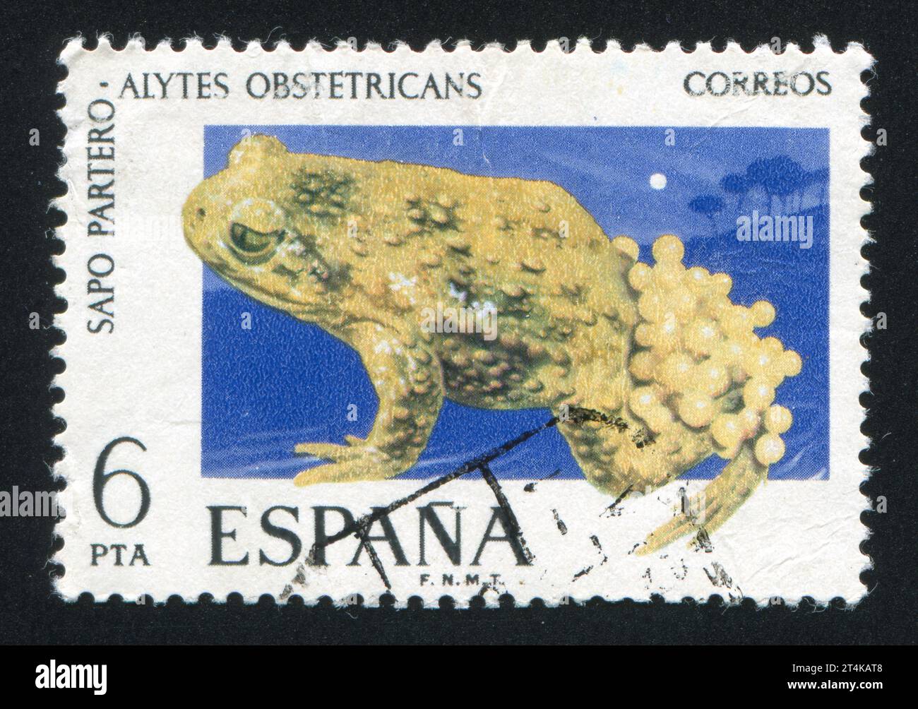 SPAIN - CIRCA 1975: stamp printed by Spain, shows Midwife Toad, circa ...