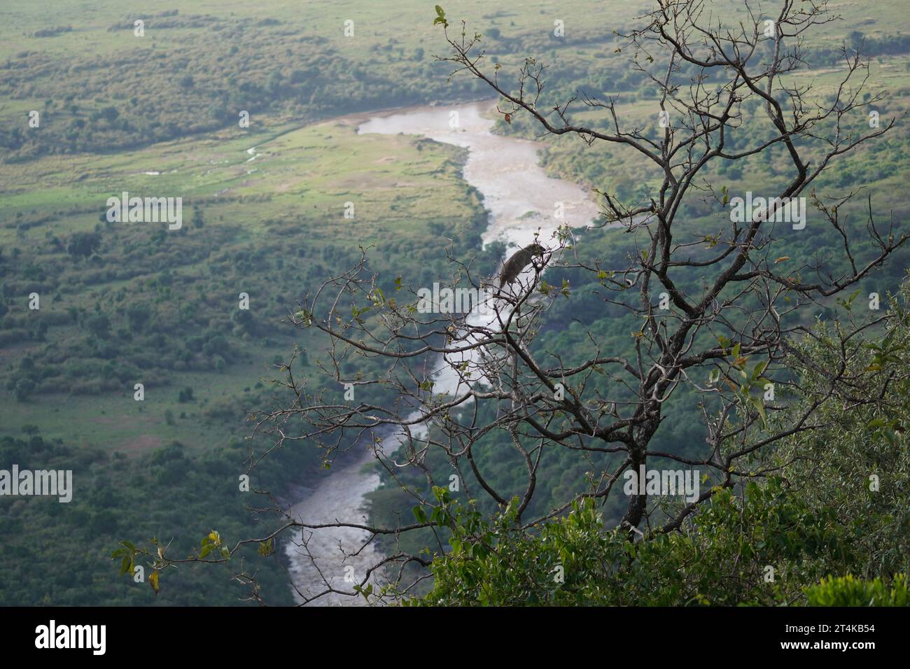 Kenyan safari experience hi-res stock photography and images - Alamy