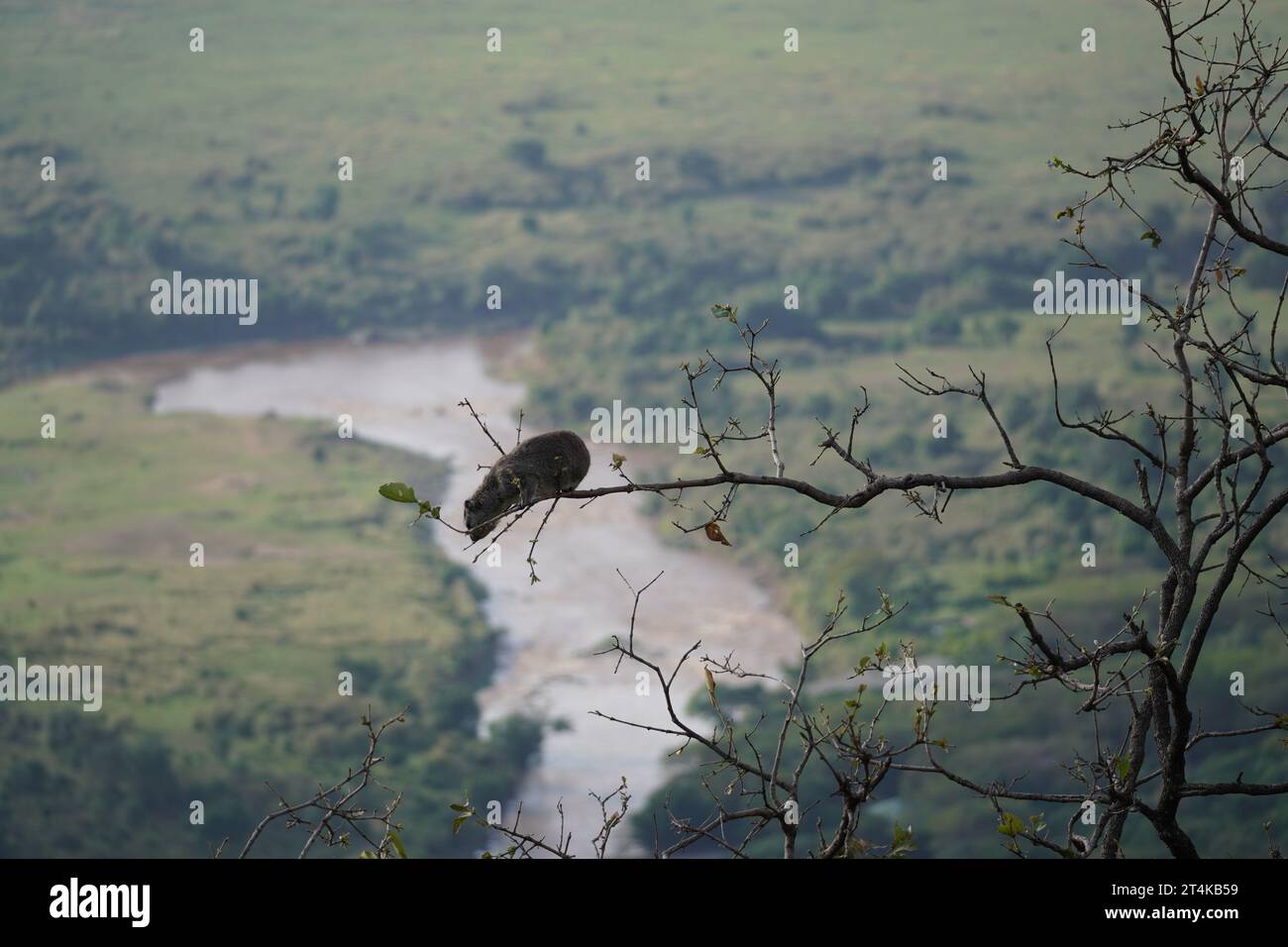 Kenyan safari experience hi-res stock photography and images - Alamy
