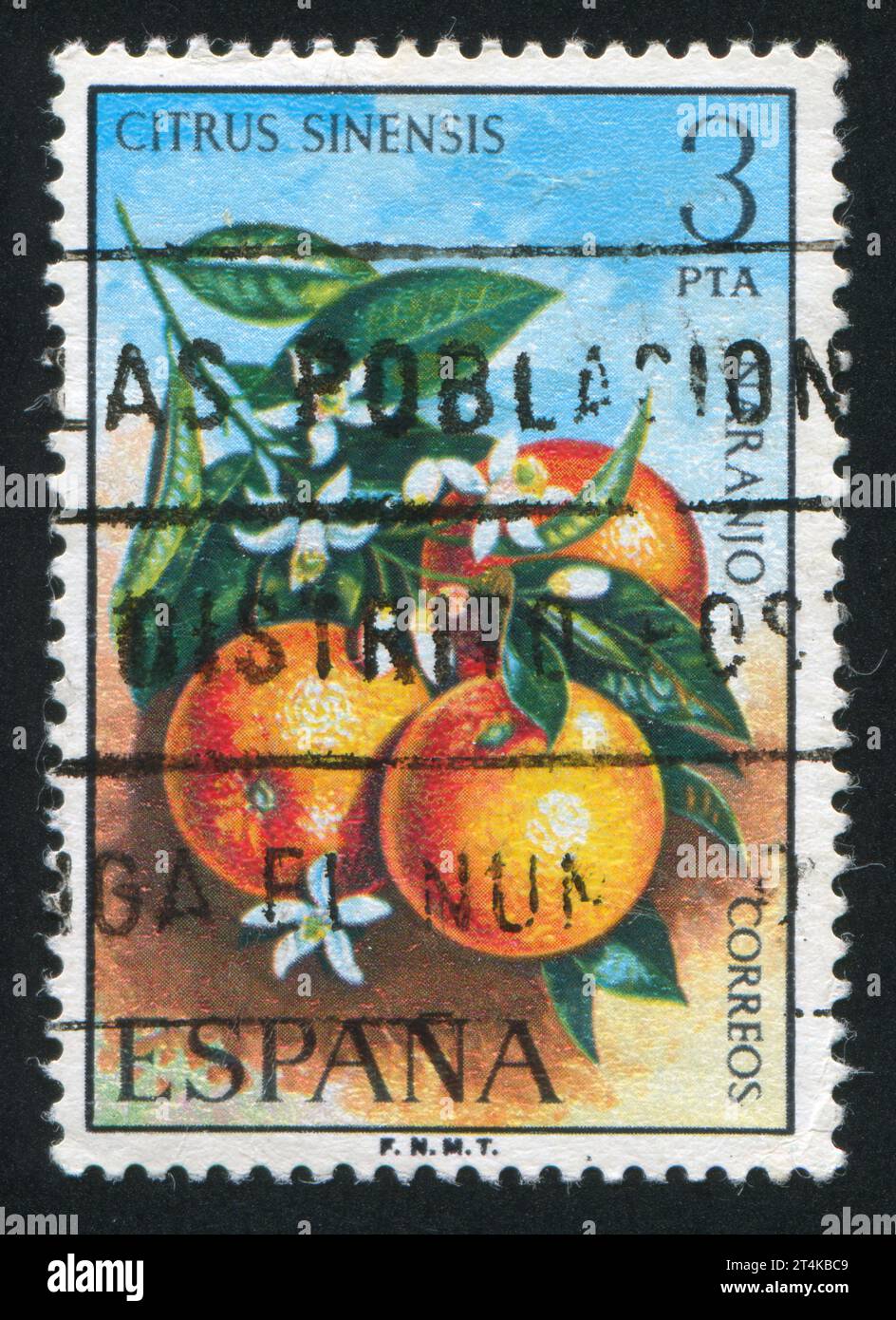 SPAIN - CIRCA 1975: stamp printed by Spain, shows Oranges, circa 1975 ...