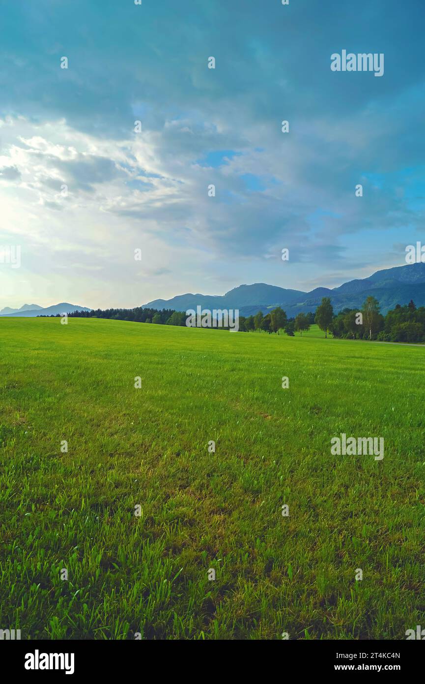 Breathtaking sunrise on the Alpine Meadows against the backdrop of a ...