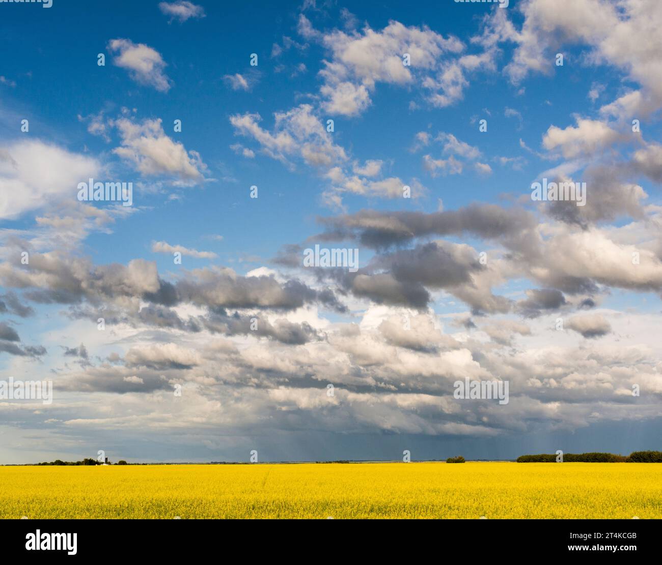 Green lake saskatchewan hi-res stock photography and images - Alamy