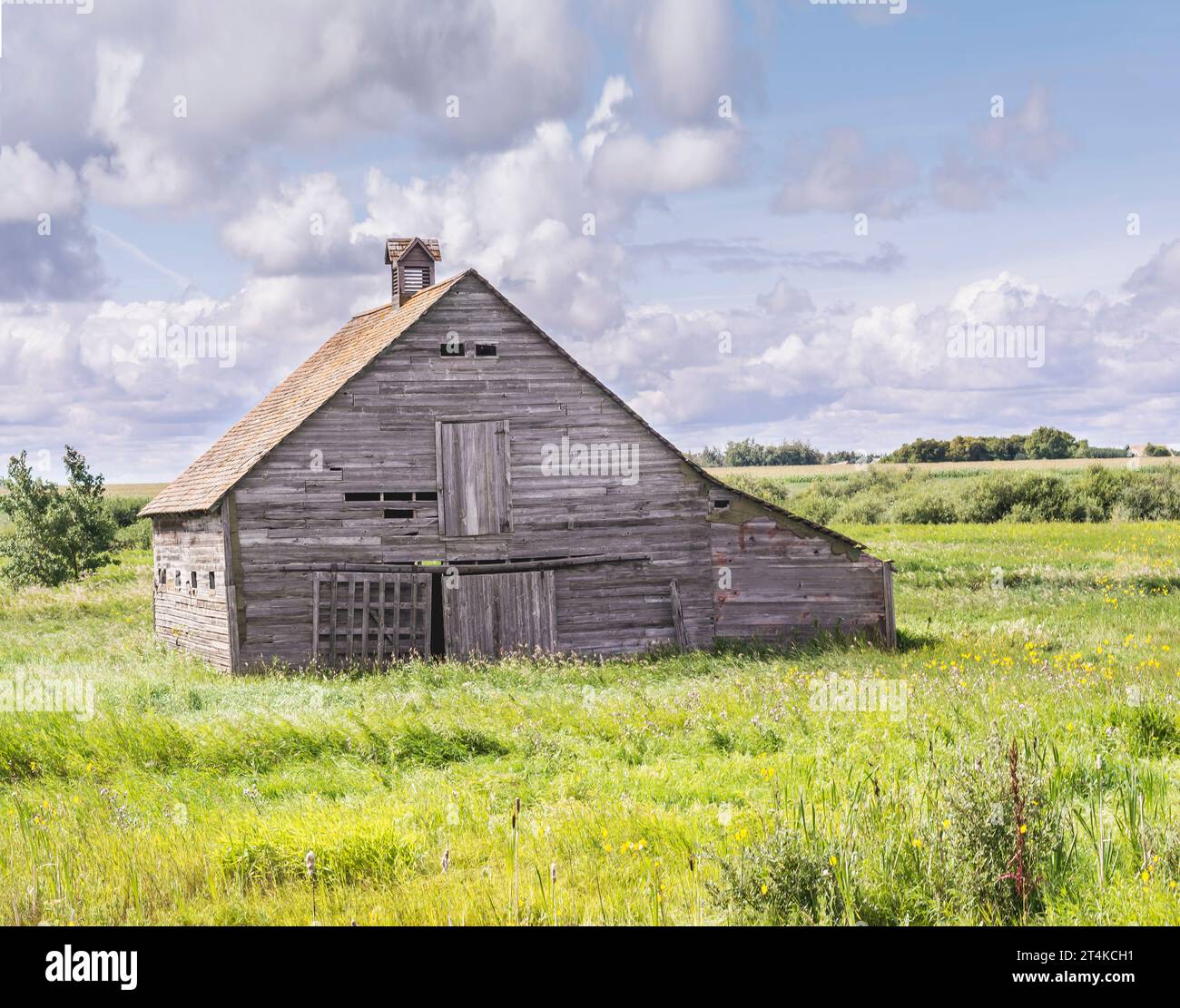 Saskatchewan farm canola hi-res stock photography and images - Alamy