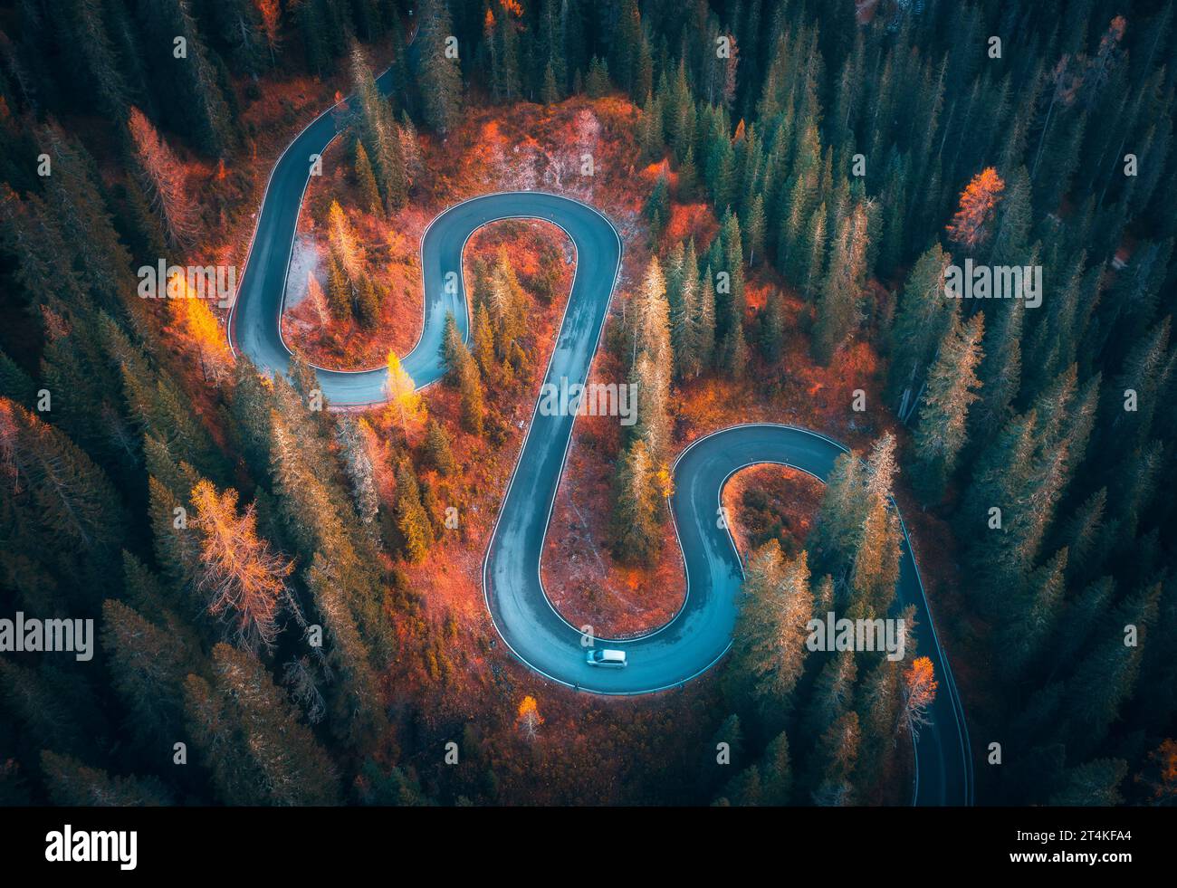 Aerial view of snake road in colorful autumn forest at sunrise Stock ...
