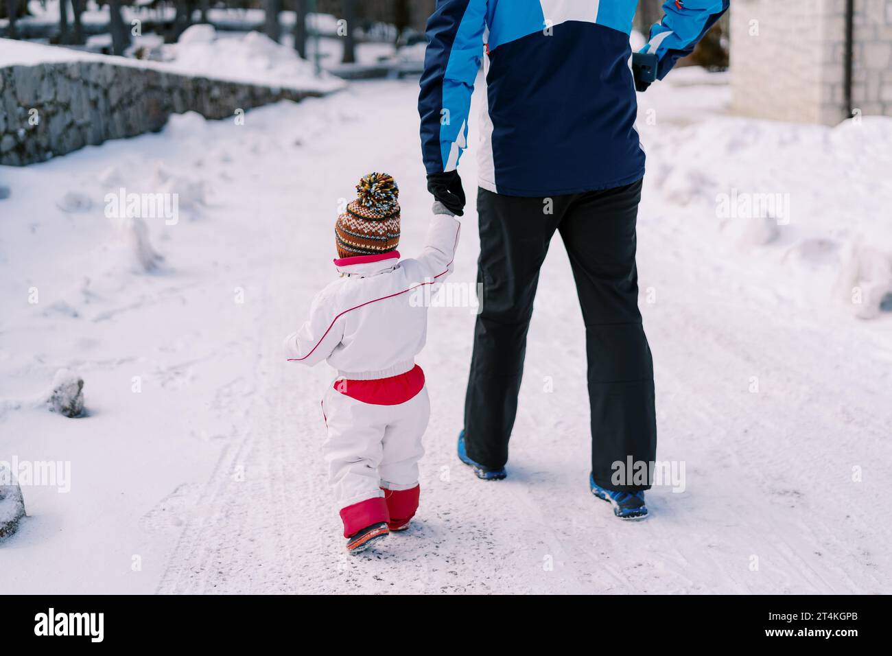 Small child walks along a snowy road holding his dad hand. Back view ...