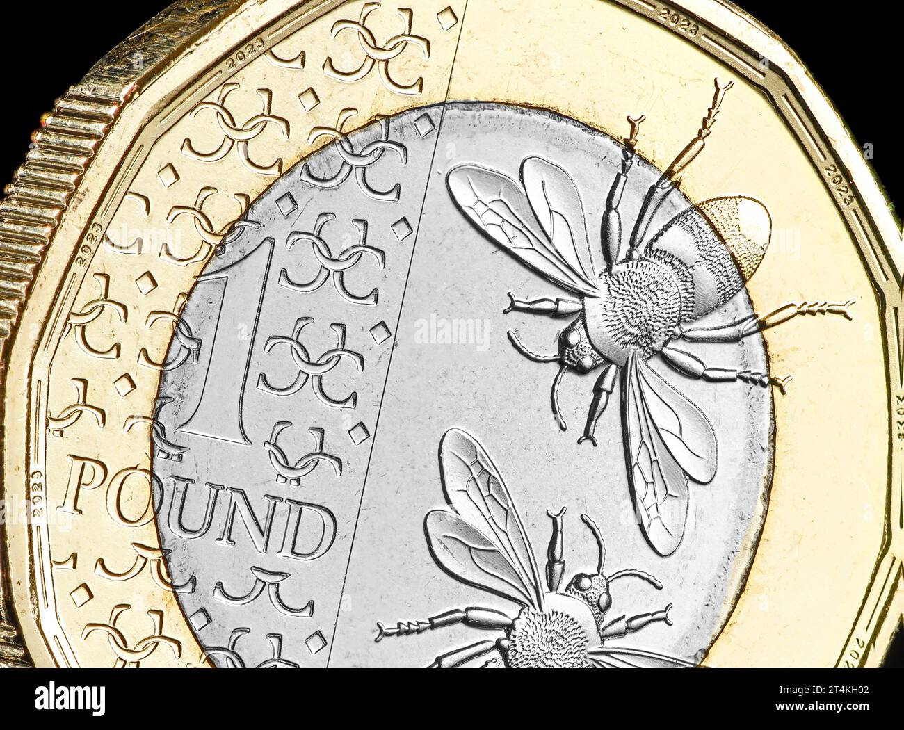The new £1 coin design & the first Pound coin to feature King Charles ...