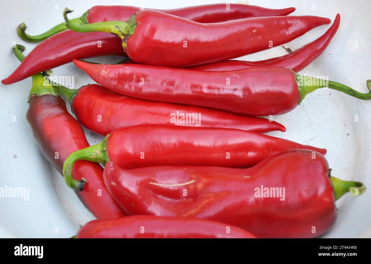 Red hot chili pepper lies in a bowl Stock Photo - Alamy