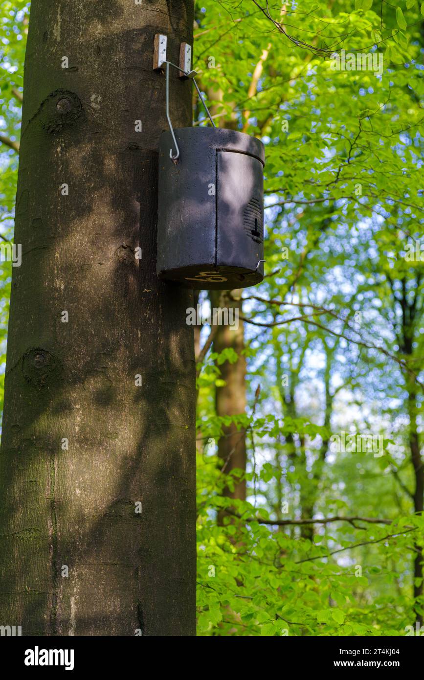 Bats nest hi-res stock photography and images - Alamy