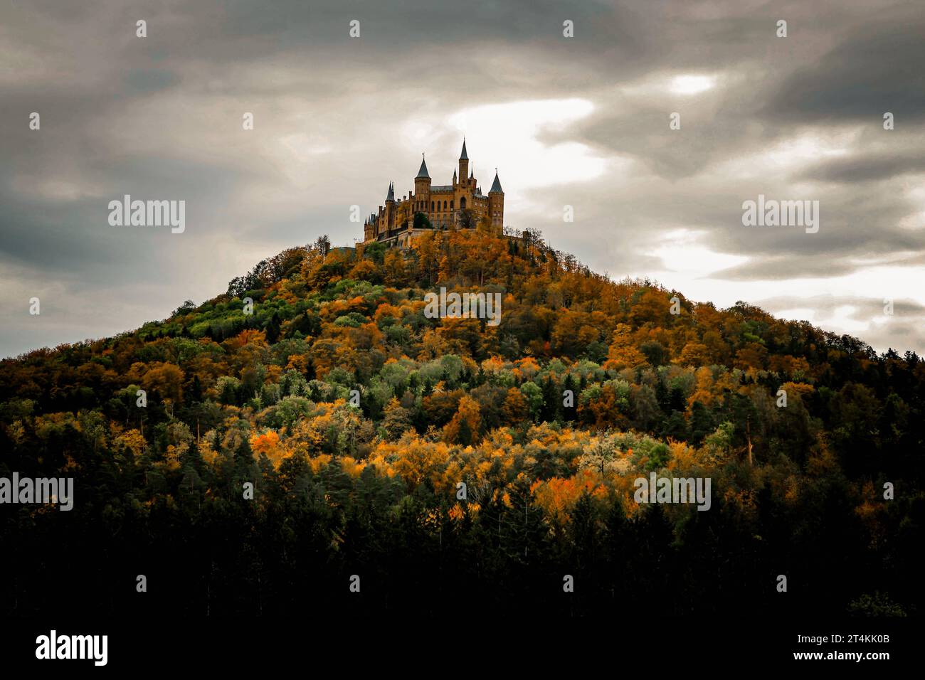 IMG 5753 *** IMG 5753 Credit: Imago/Alamy Live News Stock Photo - Alamy