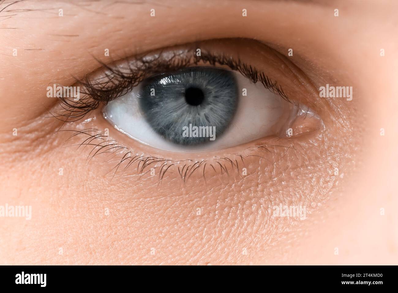 Woman with grey eyes, closeup Stock Photo - Alamy