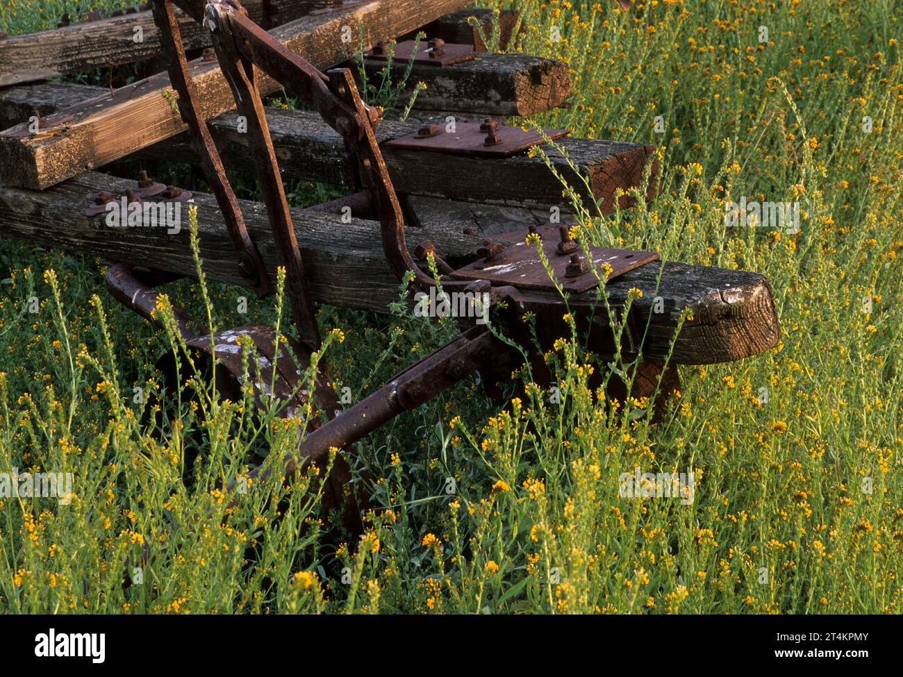 San joaquin valley farm hi-res stock photography and images - Alamy