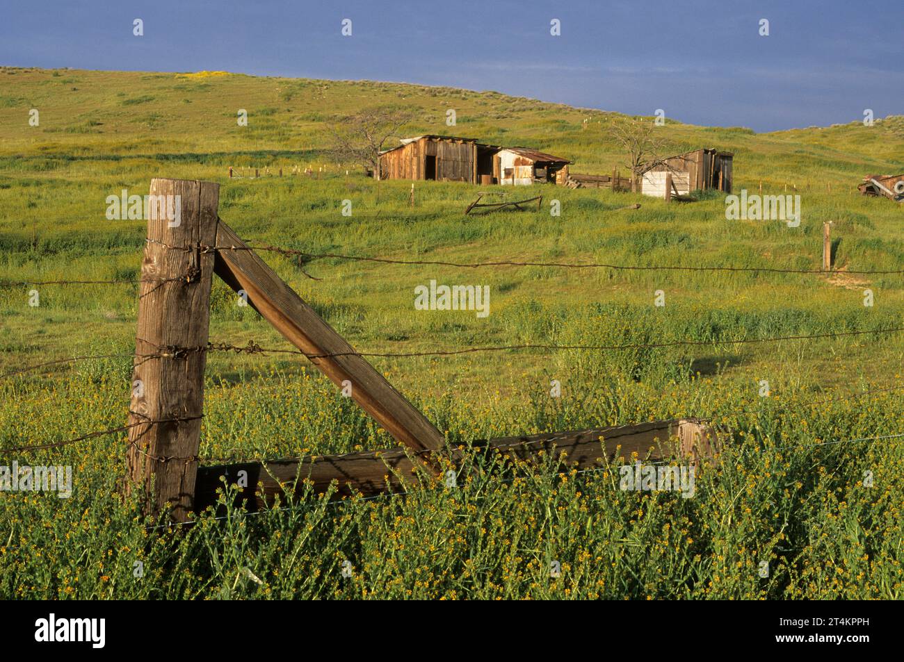 California ranch land hi-res stock photography and images - Alamy