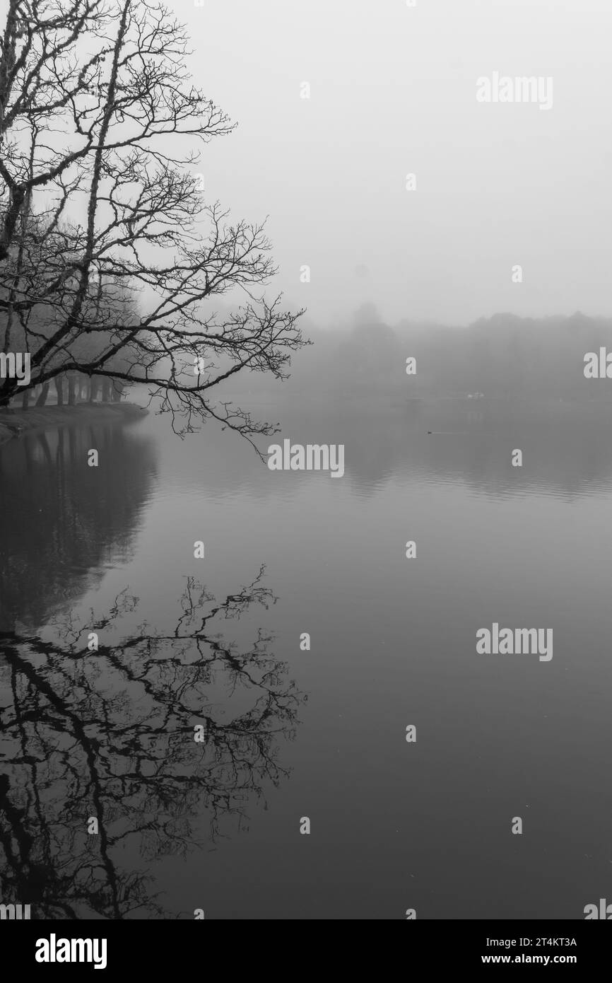 Foggy winter day at Sao Bernardo Lake. Tourist destination in Sao ...