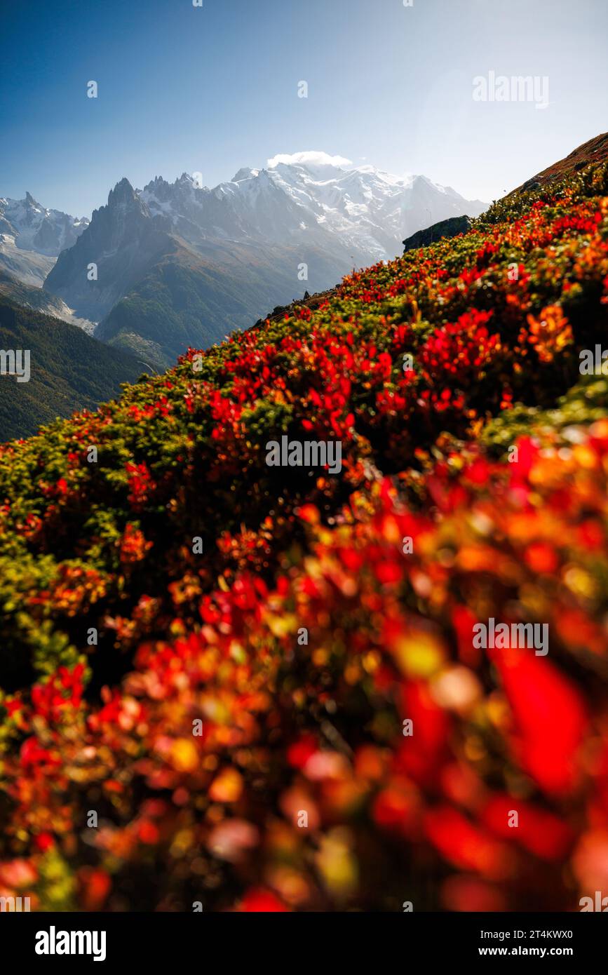 mountains of Mont Blanc in autumn in Chamonix Stock Photo - Alamy