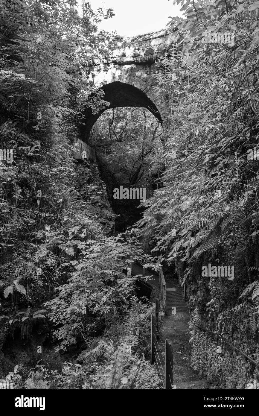 Photo of the footpath going under the bridge at Lyford Gorge in Devon ...