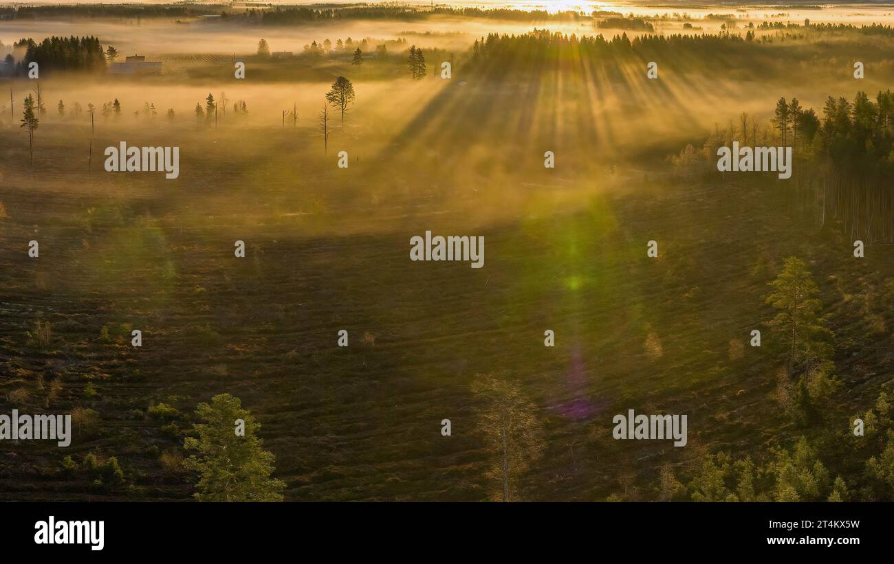 Scenic drone photo of very foggy sunrise over forest, landscape in ...