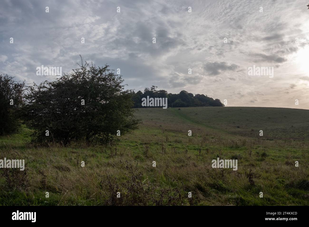 Views from Wittenham Clumps, Oxfordshire Stock Photo - Alamy