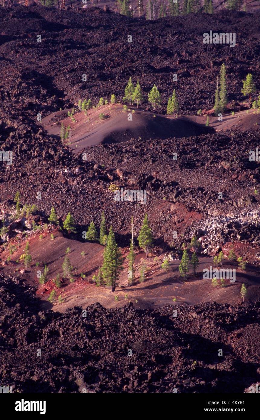 Fantastic Lava Flow from Cinder Cone, Lassen Volcanic National Park ...
