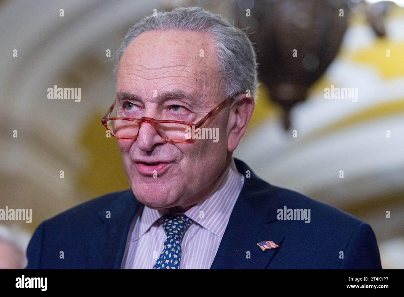 United States Senate Majority Leader Chuck Schumer (Democrat of New ...