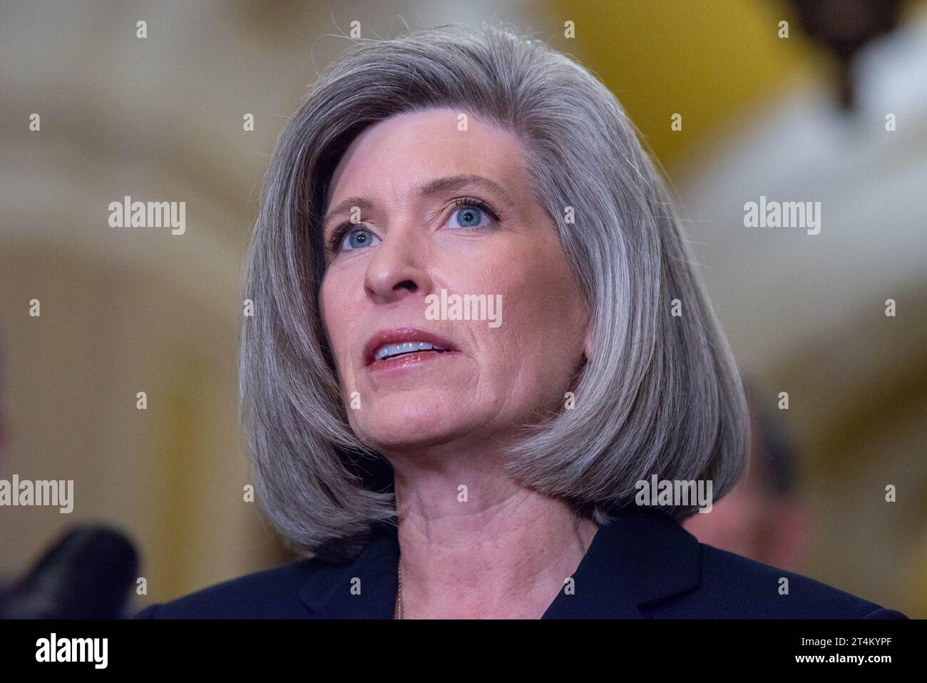 United States Senator Joni Ernst (Republican of Iowa) speaks to the ...