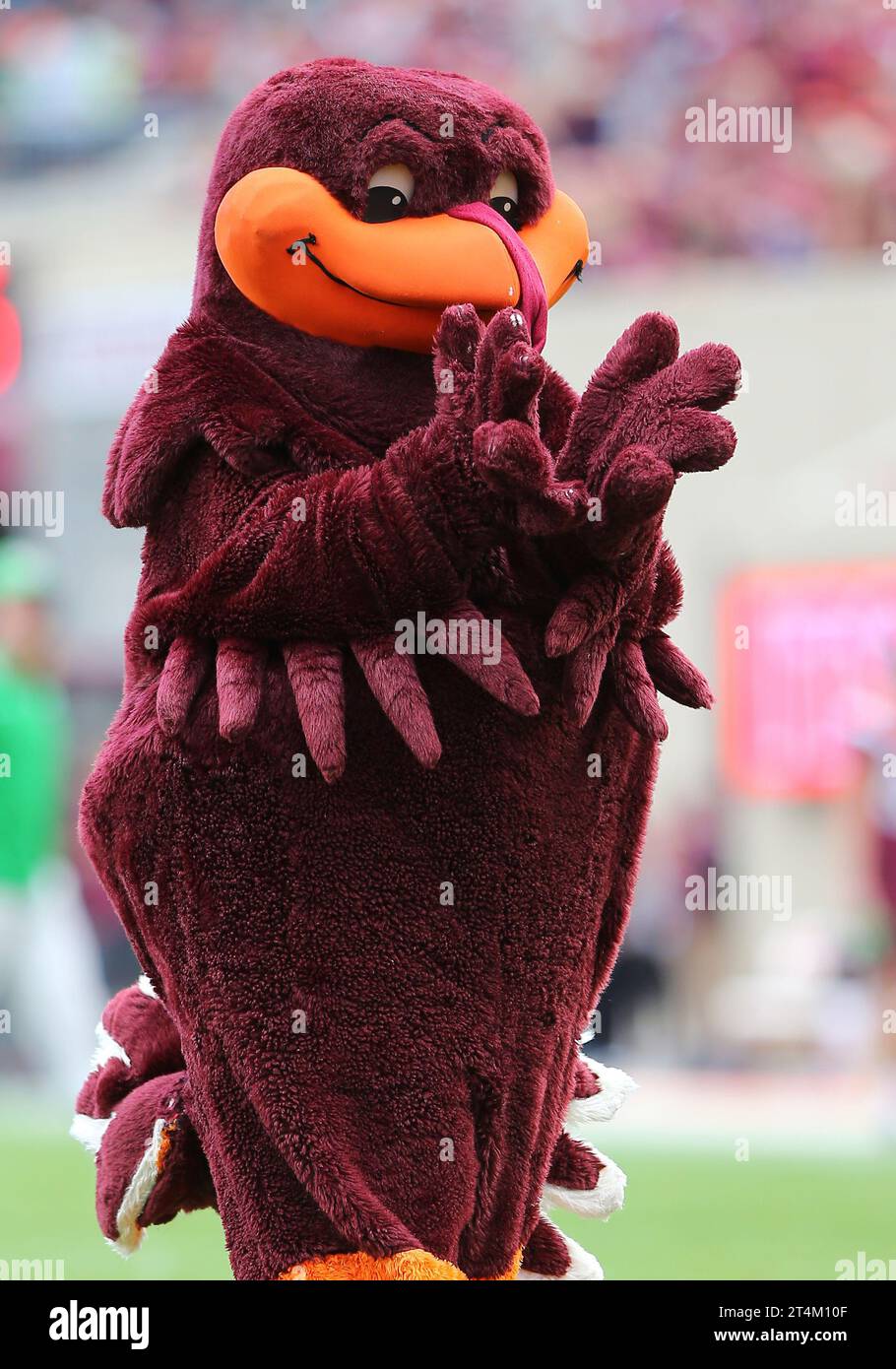 BLACKSBURG, VA - OCTOBER 14: Virginia Tech Hokies mascot, Hokie Bird ...