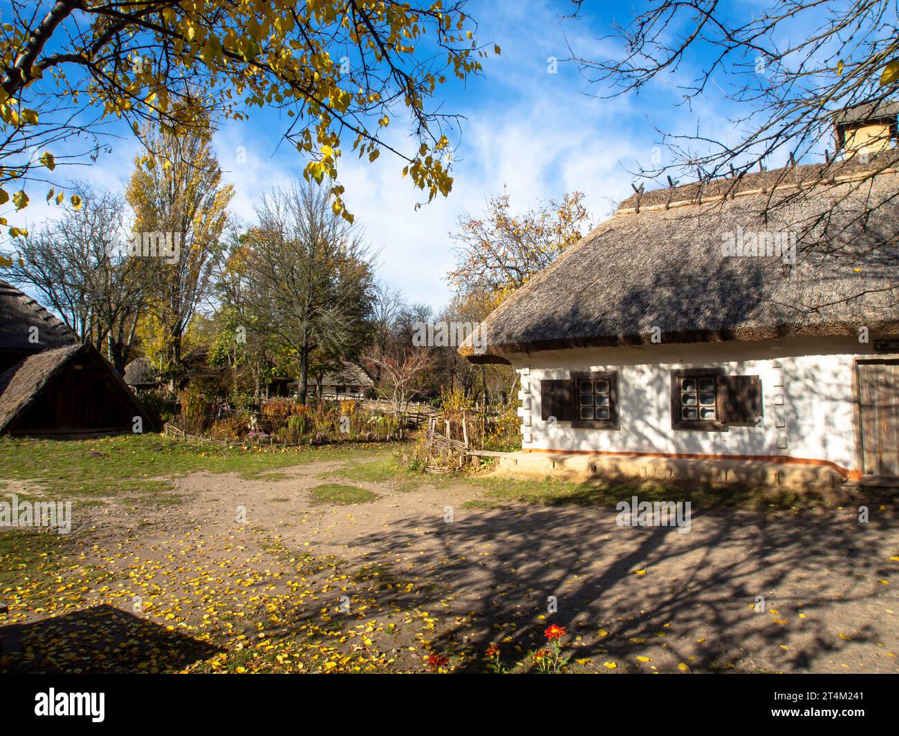 Traditional wooden homes with thatched roof in Ukraine. National Museum ...