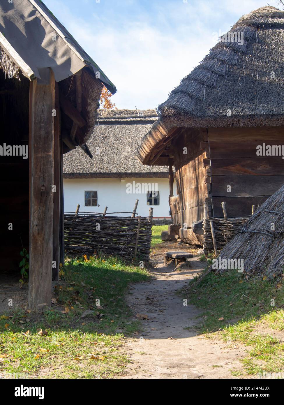 Traditional wooden homes with thatched roof in Ukraine. National Museum ...