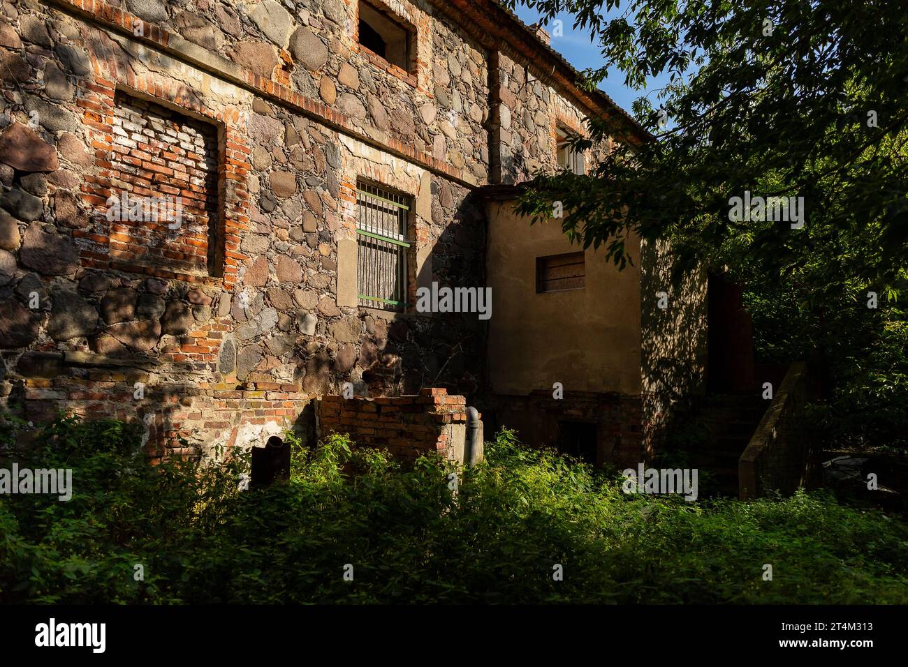 An aged architectural structure surrounded by lush vegetation in a ...