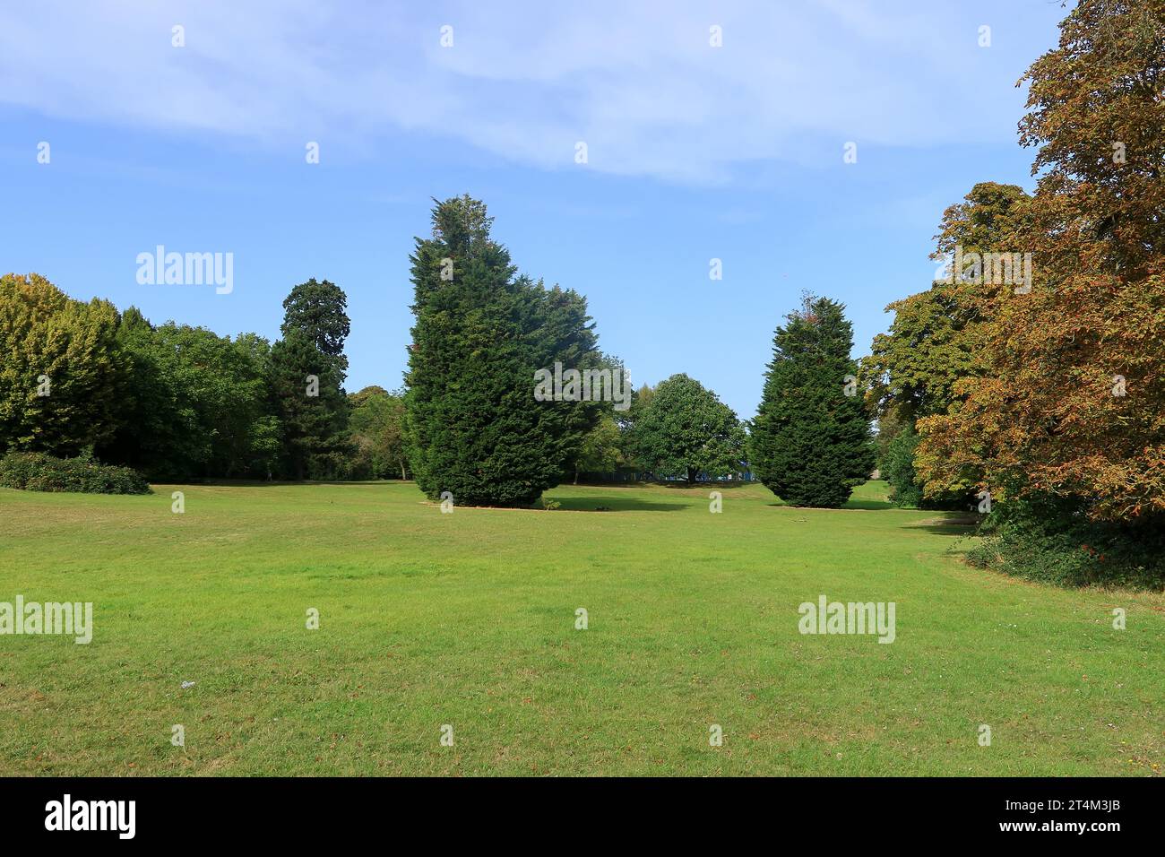 A scenic woodland landscape in the North Kent countryside Stock Photo ...