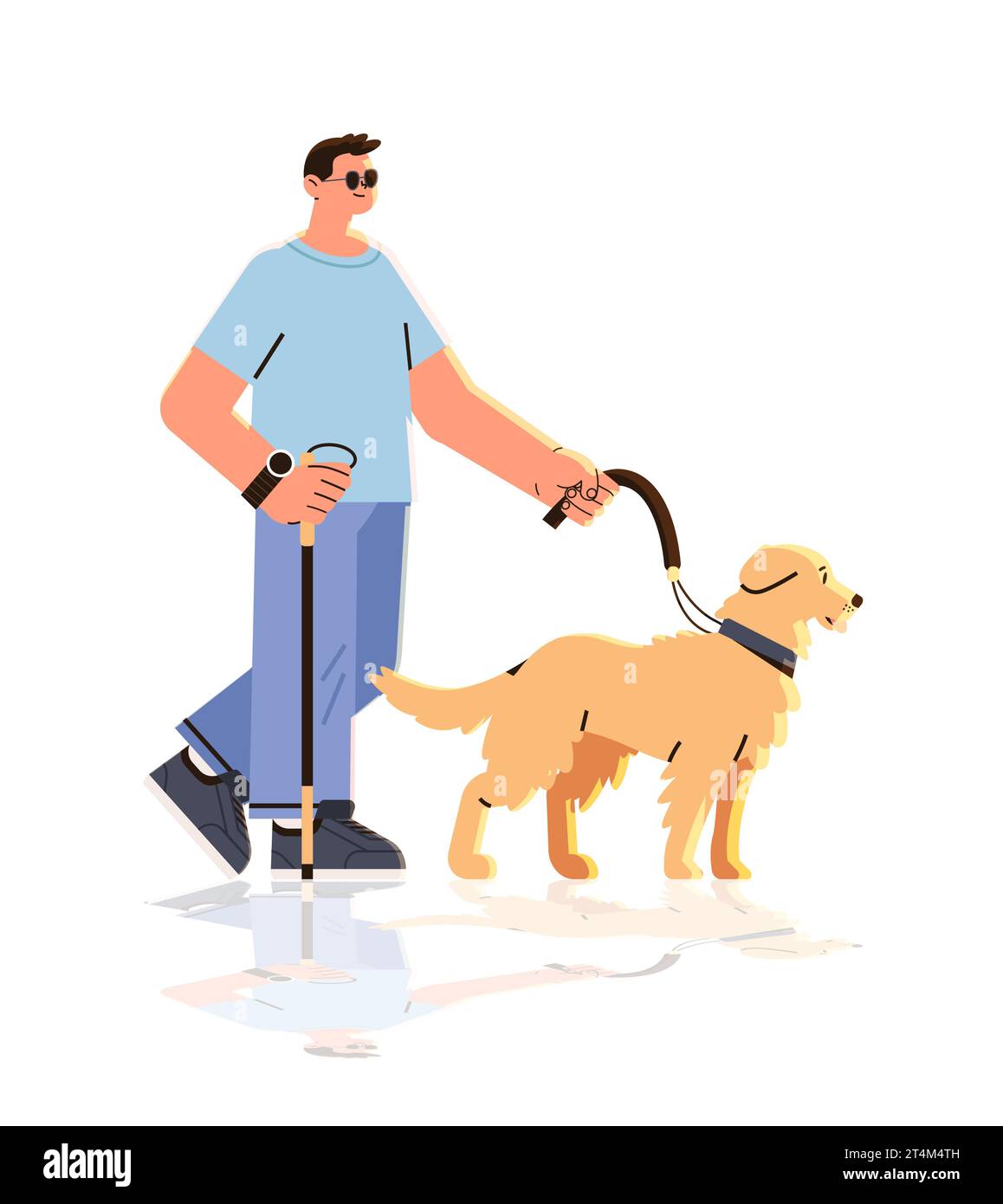 bling man walking with guide dog assistant animal leading male ...