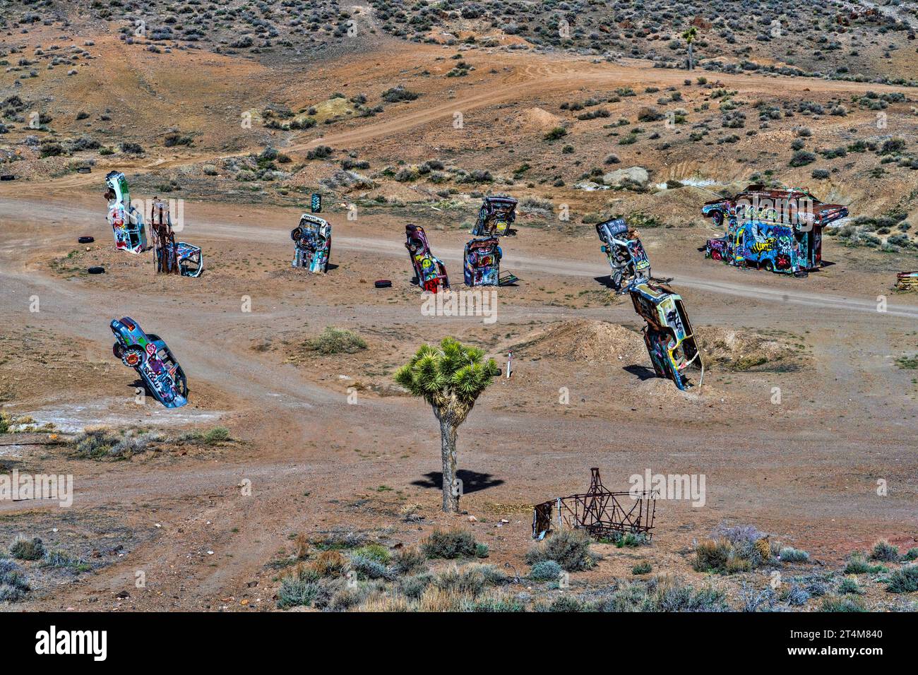 International Car Forest Stock Photo - Alamy