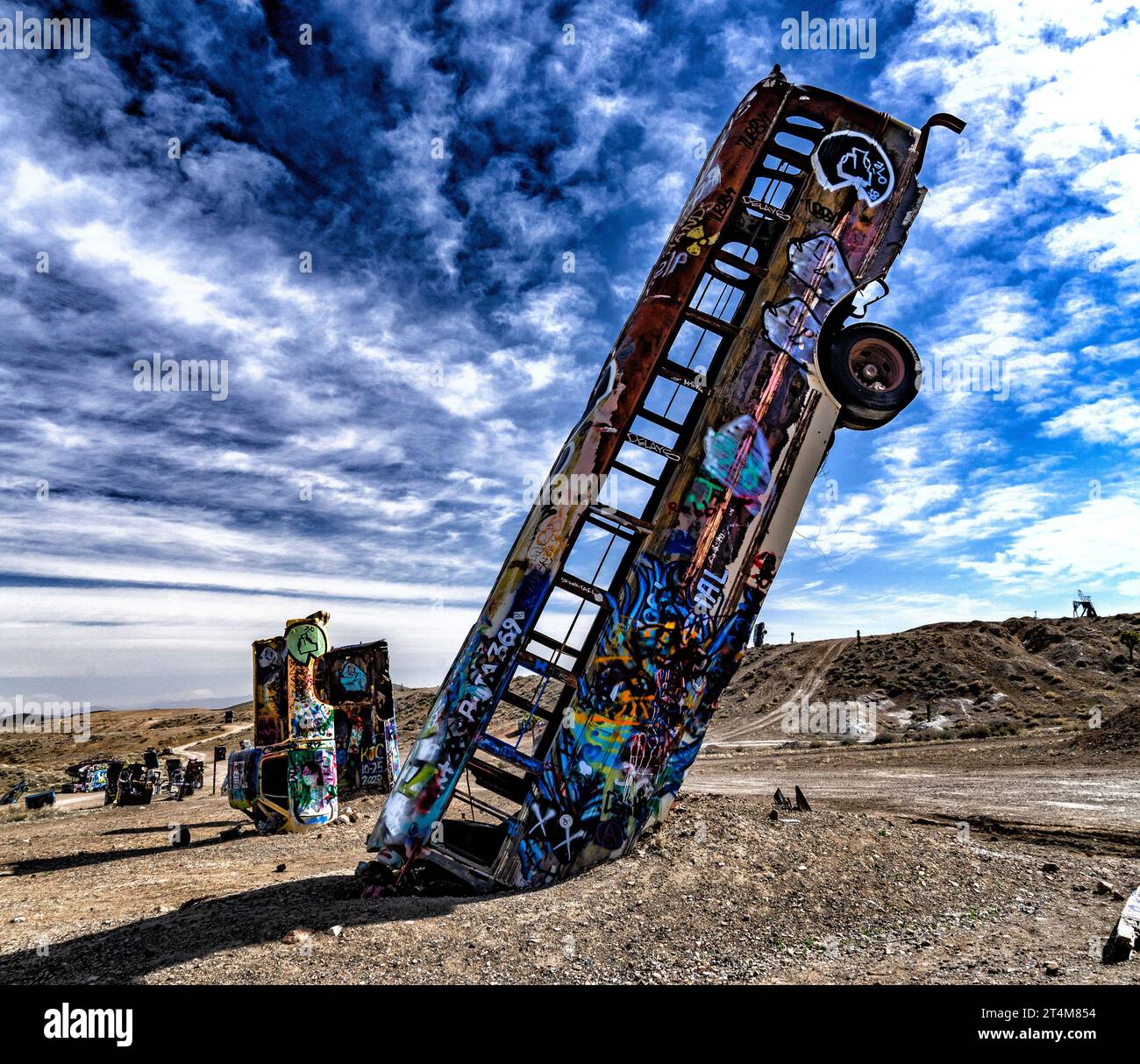 International Car Forest Stock Photo - Alamy