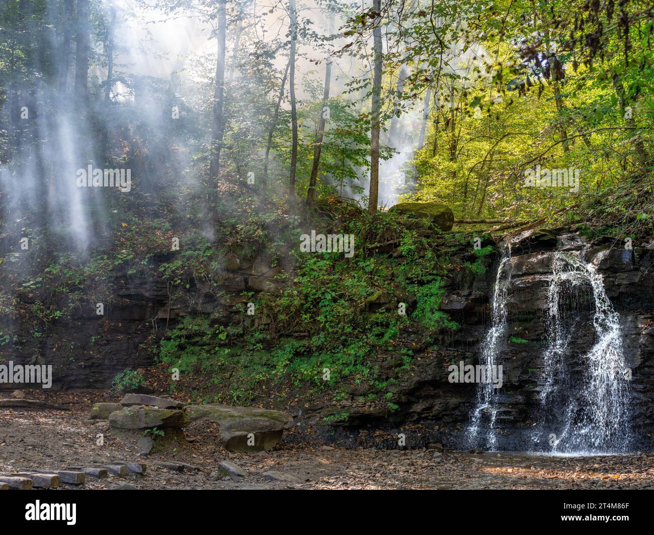 A majestic waterfall cascades through the lush wilderness, surrounded ...