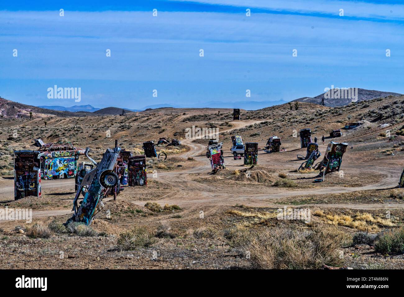 International Car Forest Stock Photo - Alamy
