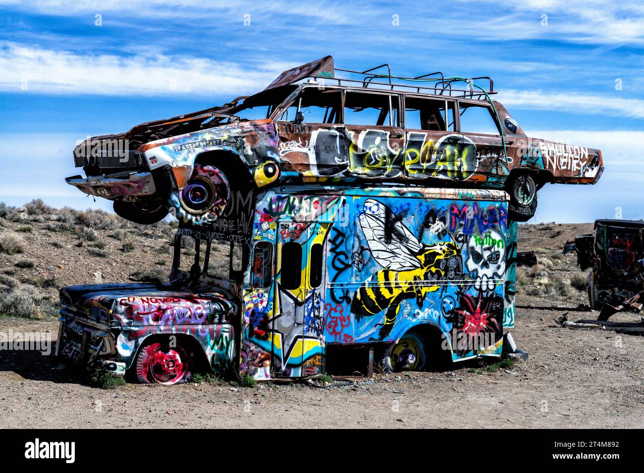 International Car Forest Stock Photo - Alamy