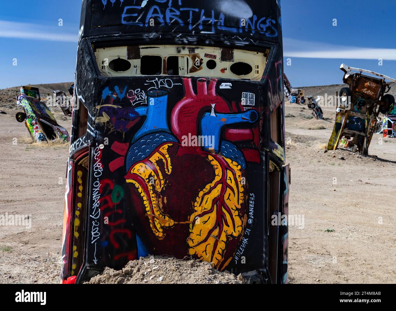 International Car Forest Stock Photo - Alamy