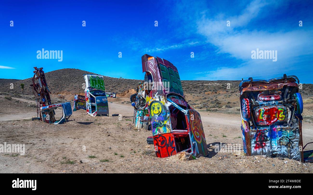 International Car Forest Stock Photo - Alamy