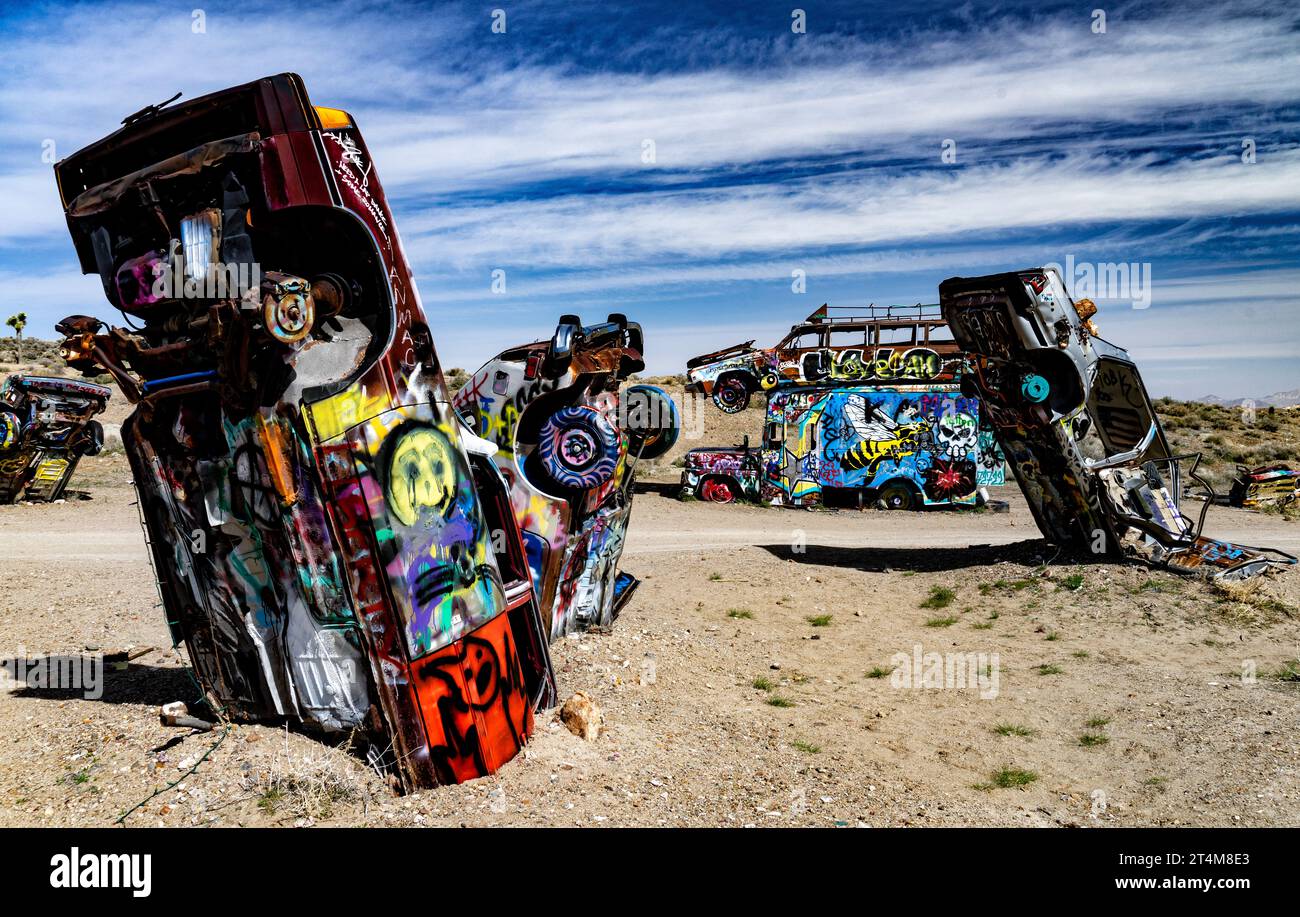International Car Forest Stock Photo - Alamy