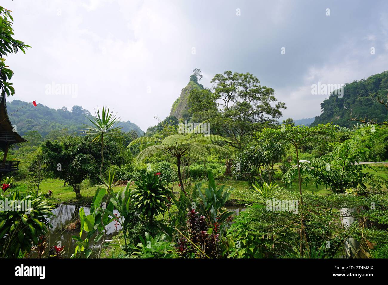 Puncak taruko hi-res stock photography and images - Alamy