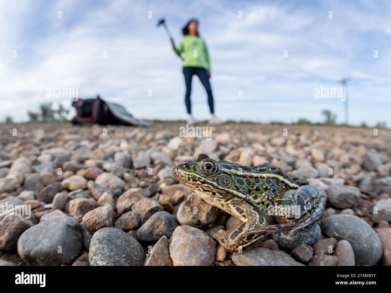 From alberta hi-res stock photography and images - Alamy