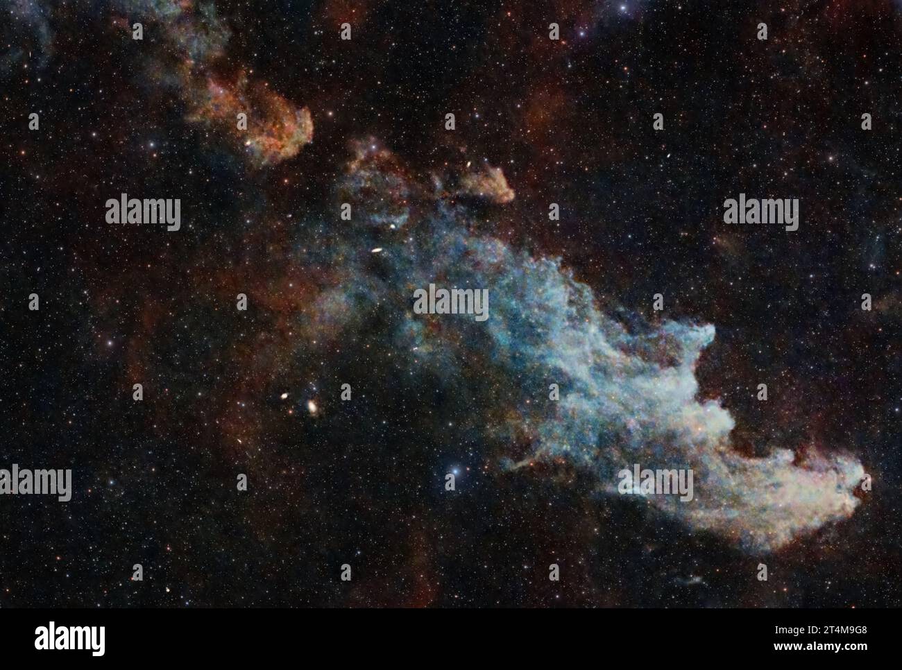 Behold the Witch Head Nebula, a celestial marvel located in the ...