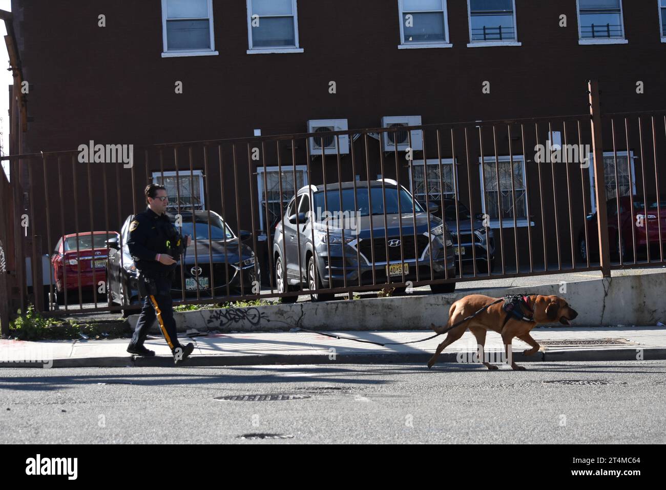 K9 units search for the suspect involved in a carjacking and abduction ...