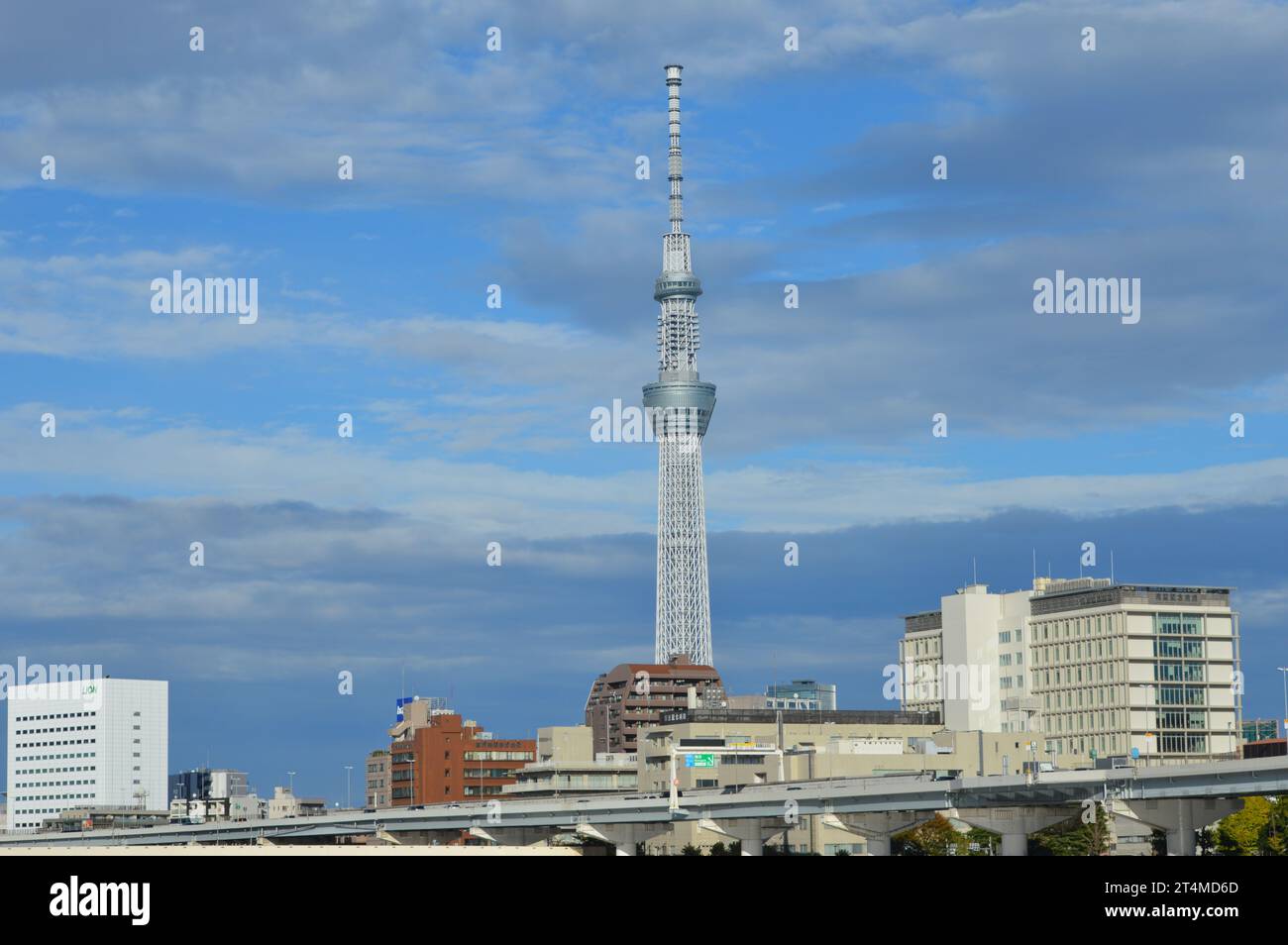 "Twilight Magic Over Tokyo" "The Radiant Tokyo Sky" "Tokyo City in ...