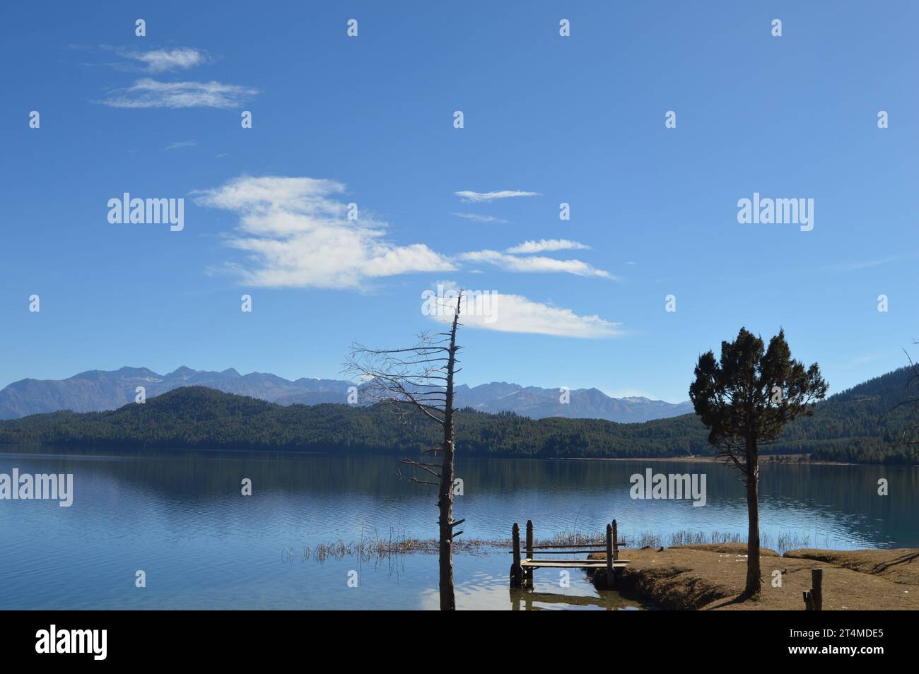 "Calm Waterside Moments" "The Serene Elegance of Lakes" "Reflections in ...