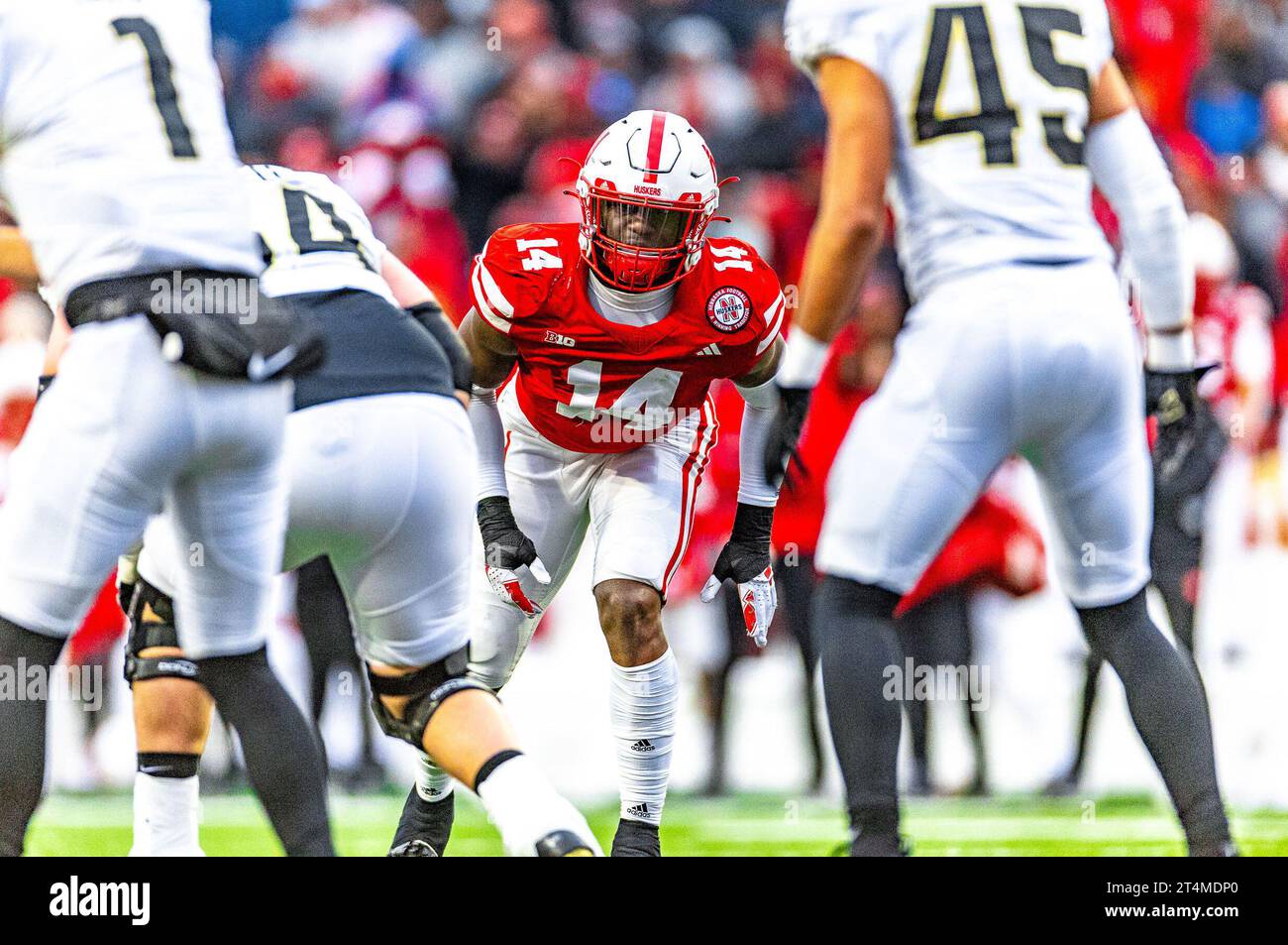 Blitz division hi-res stock photography and images - Alamy